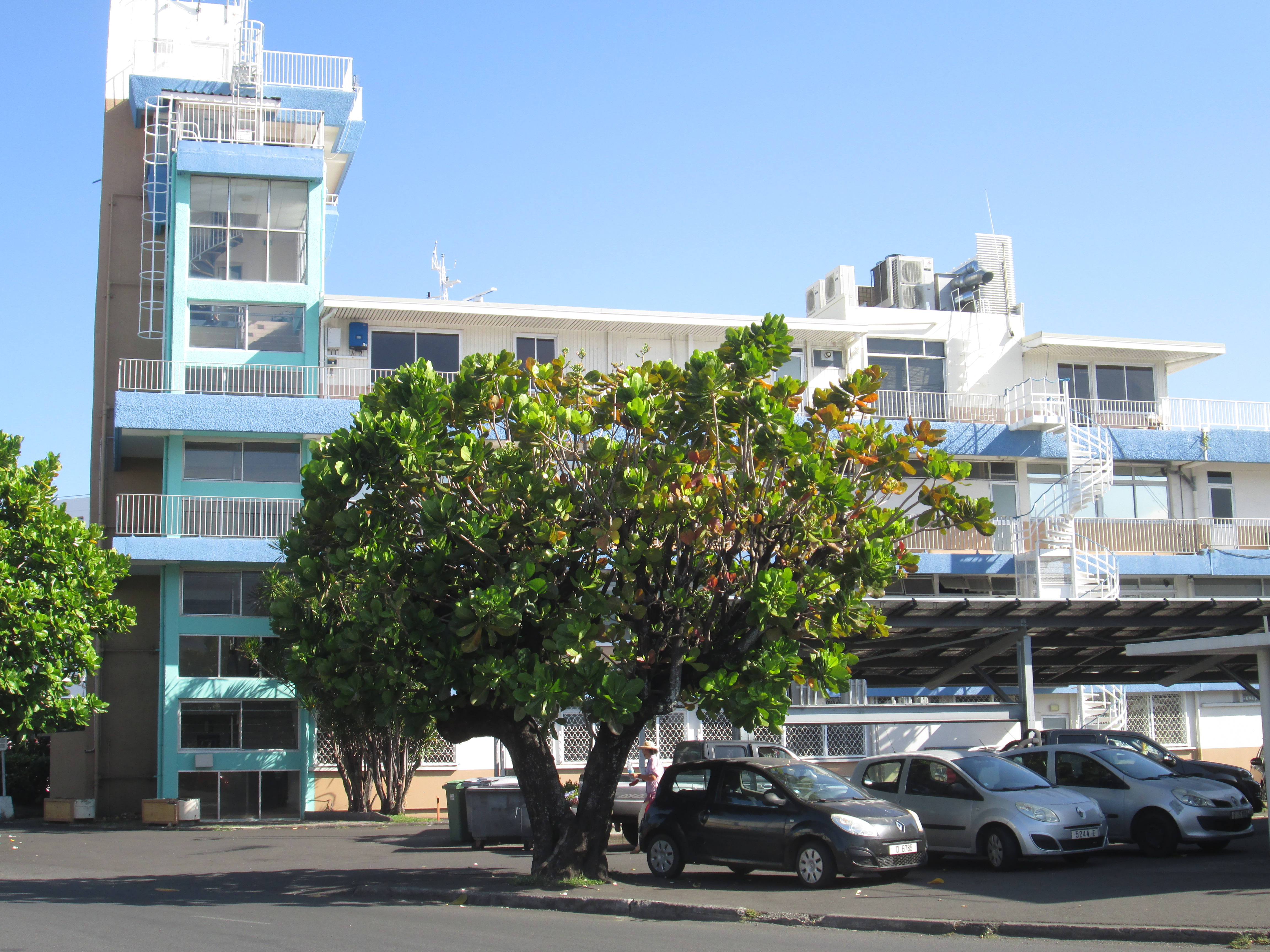 Port autonome: chère retraite! - Tahitinews.co