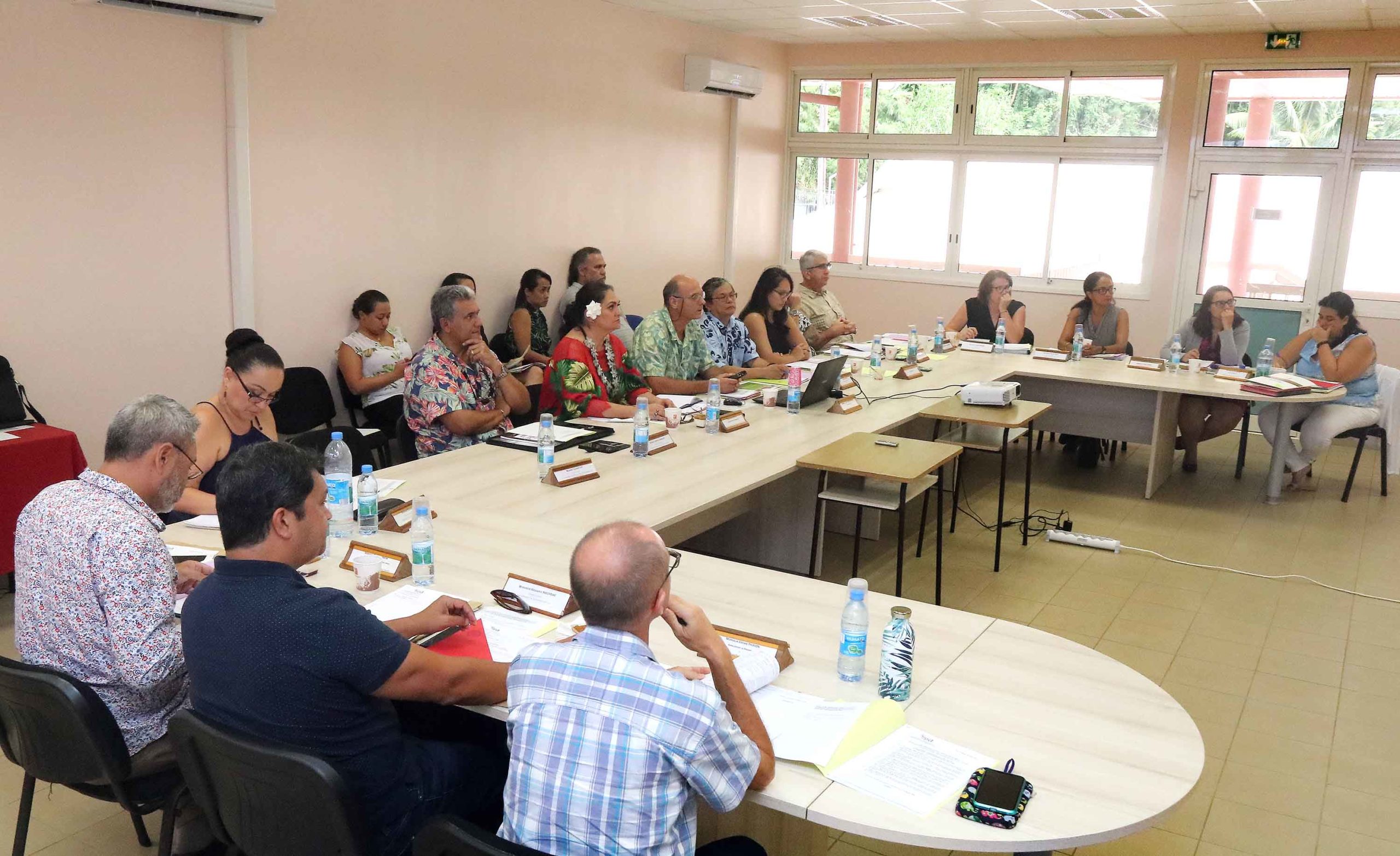 CFPA: un programme d’actions ambitieux en 2020 - Tahitinews.co